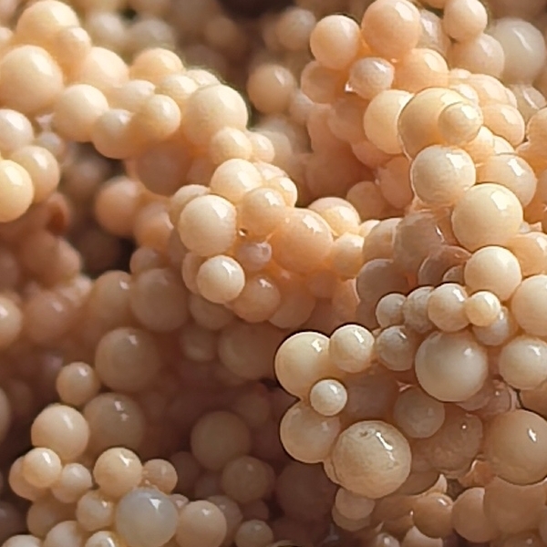 Wholesale PFAS SELECTIVE RESIN DL-PFA618E Manufacturer and Supplier ...